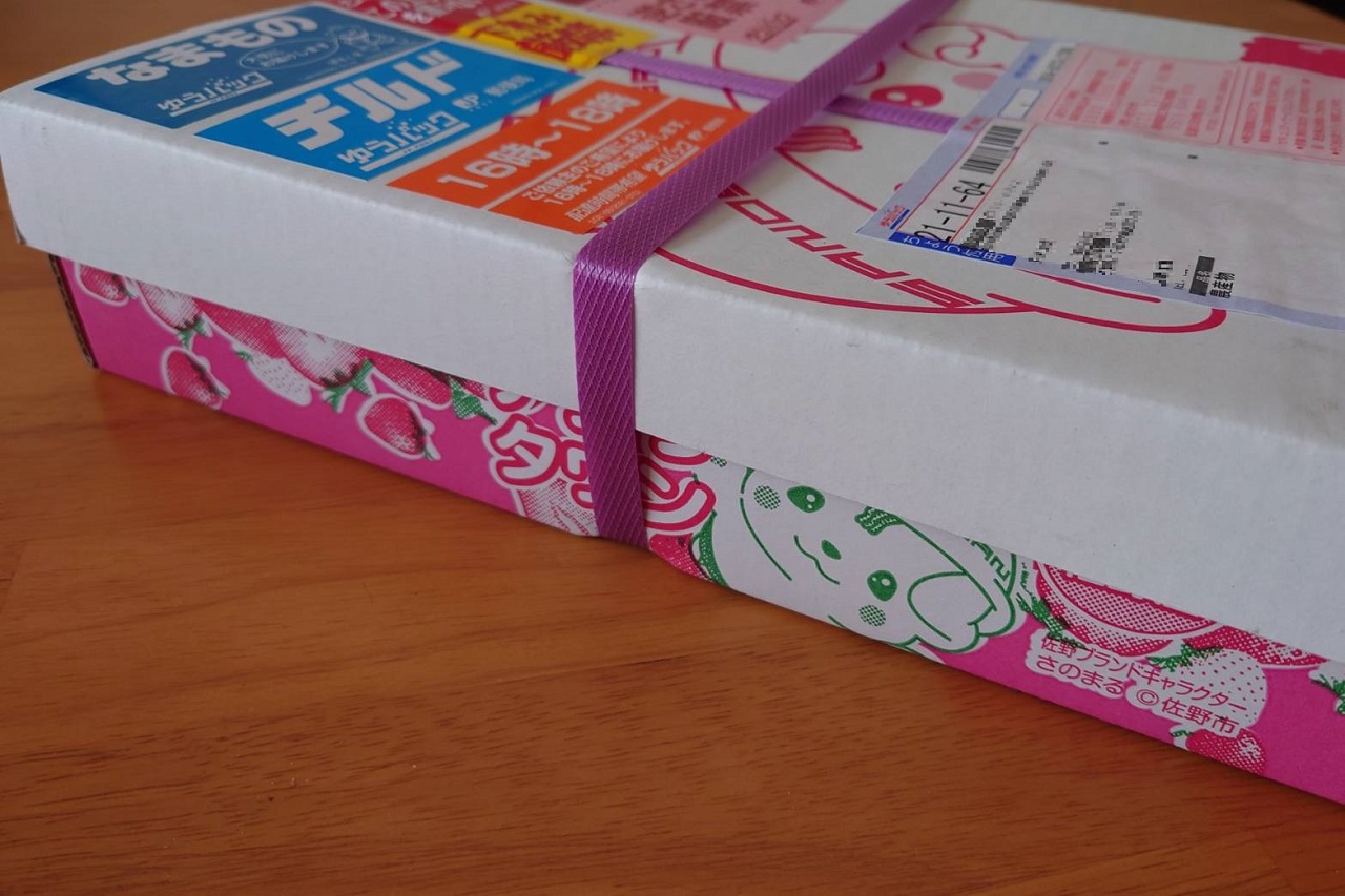 佐野観光農園アグリタウンのいちご「とちあいか」と「ミルキーベリー」をもらった感想 | いちご通販ドットコム