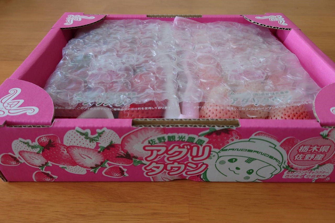佐野観光農園アグリタウンのいちご「とちあいか」と「ミルキーベリー」をもらった感想 | いちご通販ドットコム